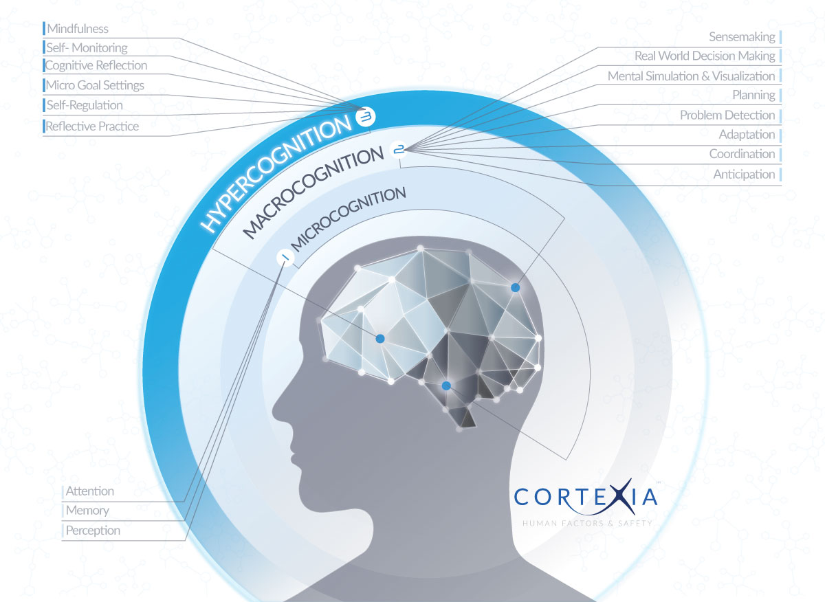 The Science of Advanced Cognitive Performance | Cortexia